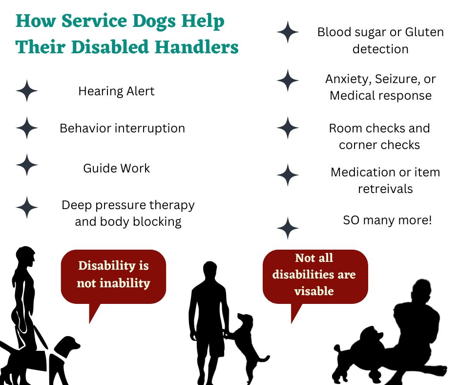 Ability Dogs Program – In Tandem Dog Training
