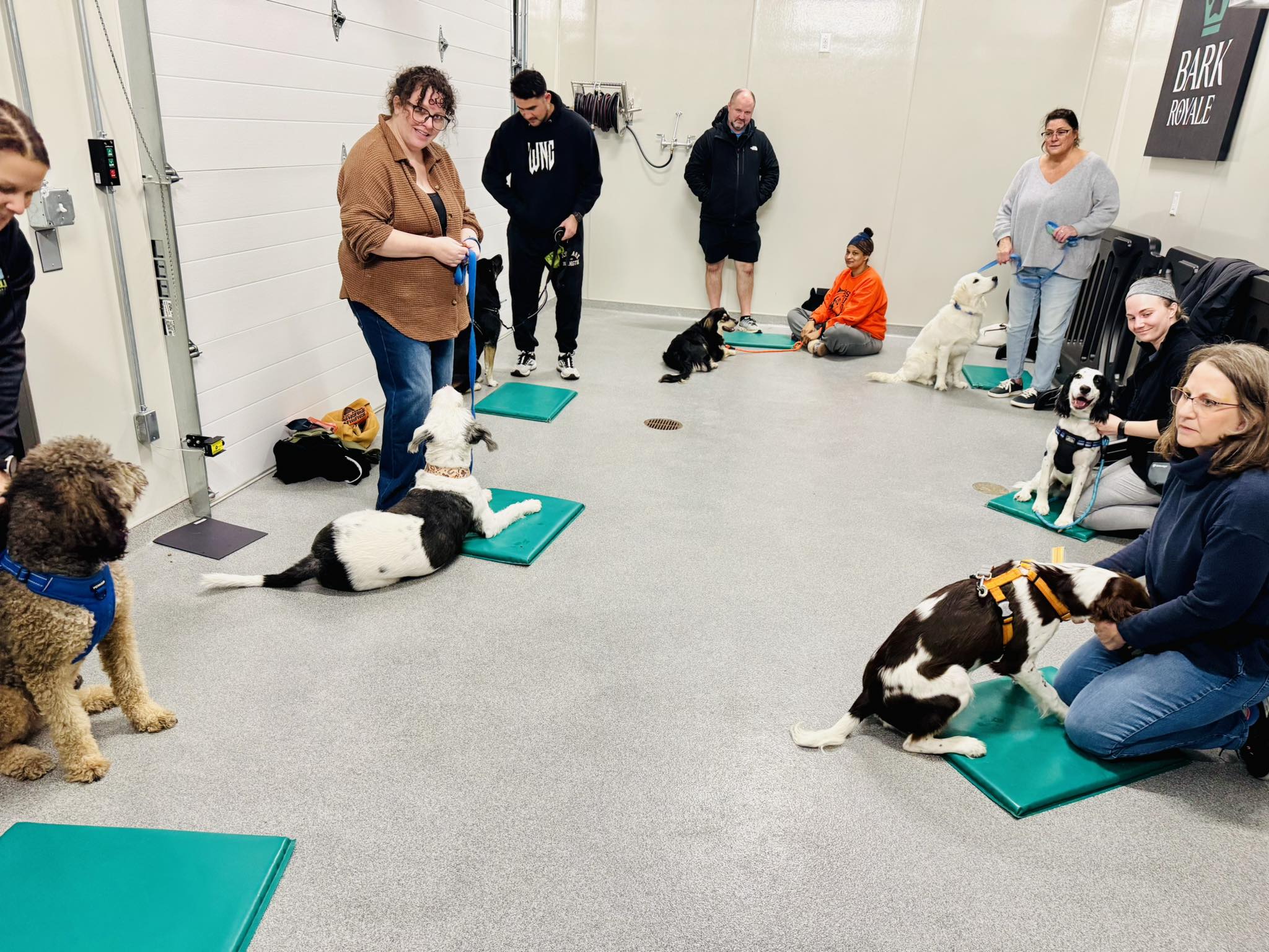 Interested in Group Classes? - In Tandem Dog Training